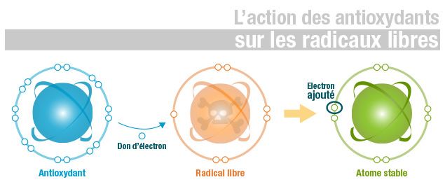 L'OXYDATION DU CORPS